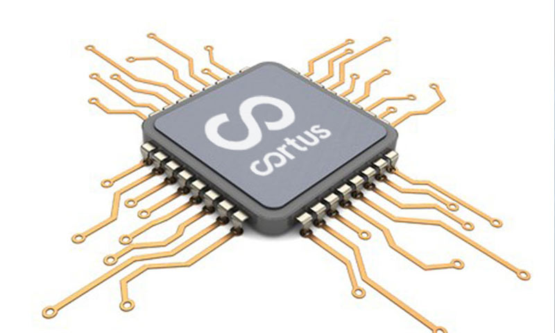 High performance processor | Cortus